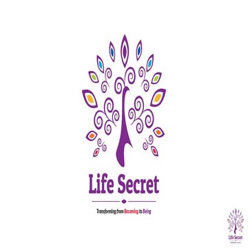 LifeSecret - Services Overview | PDF