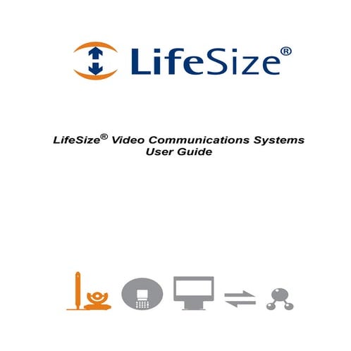 LifeSize | PDF