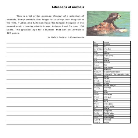Lifespans of animals | PDF