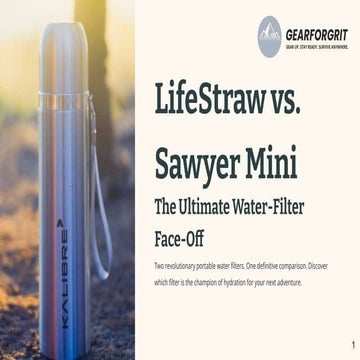 LifeStraw vs. Sawyer Mini: The Ultimate Water-Filter Face-Off | PDF