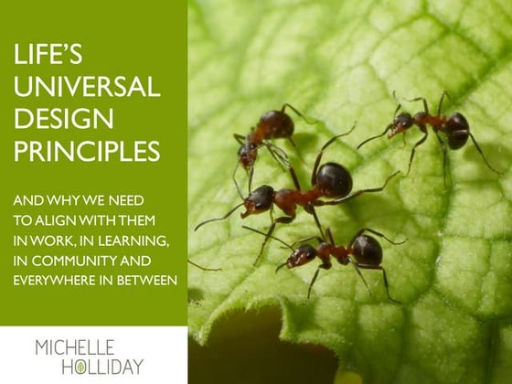 Life's Universal Design Principles 2021 | PPT