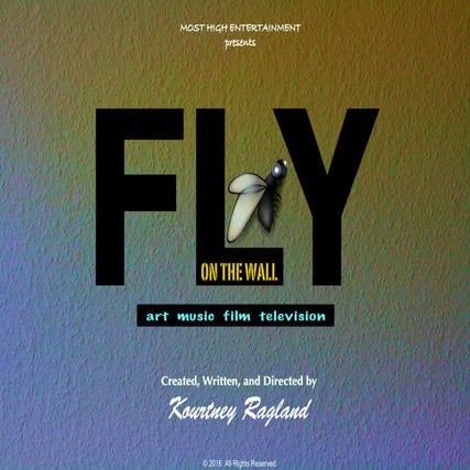 FLY ON THE WALL Logo | PDF