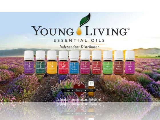 Servant Leadership 3.0 - Principles of SERVITUDE | PDF