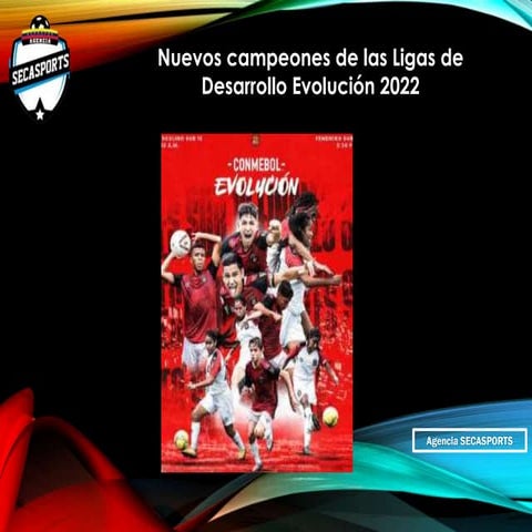 Seca Sports - Secasport hace de los atletas buenos chamos | PDF