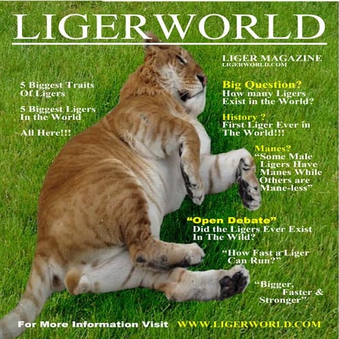 Liger magazine - www.ligerworld.com