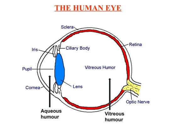 Human eye class 10 | PPT | Eye and Vision Conditions | Diseases and ...