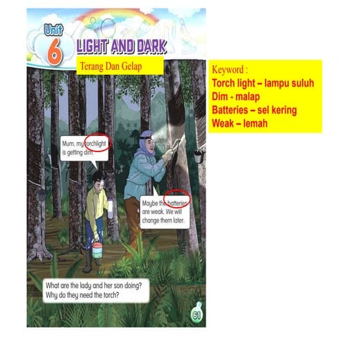 light and dark, education year 2 science | PPT