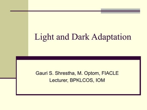 Light and Dark Adaptation | PDF | Eye and Vision Conditions | Diseases ...