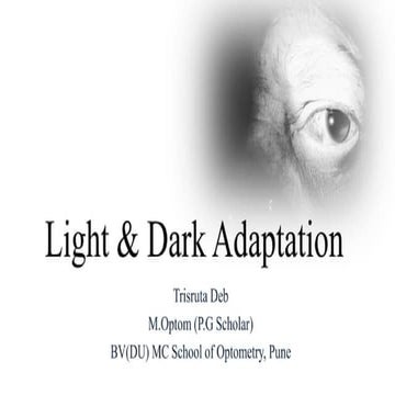 Light and dark adaptation .pdf