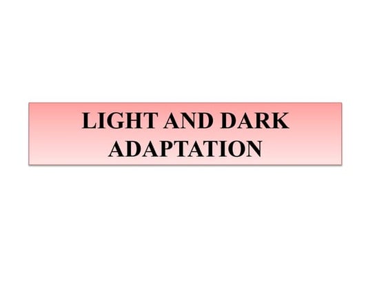 Dark adaptation.pptx