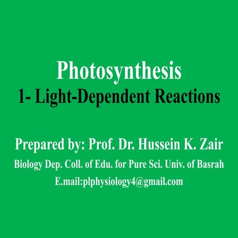 Light dependent react | PPT