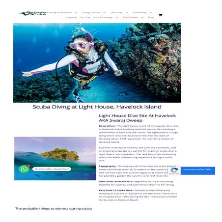 Incredible Light House Dive Site on Havelock Island (Swaraj Dweep) | PDF