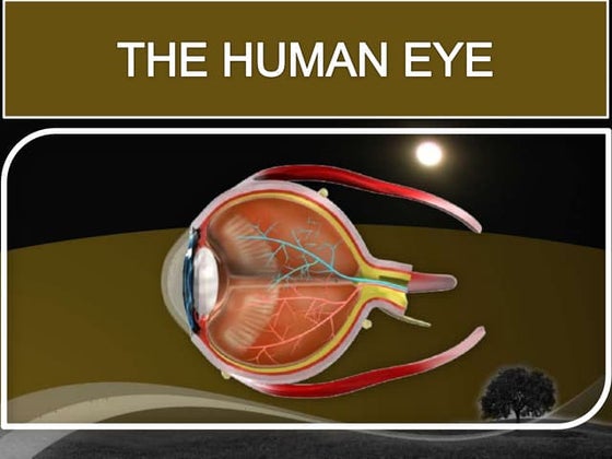 Human eye class 10 | PPT | Eye and Vision Conditions | Diseases and ...