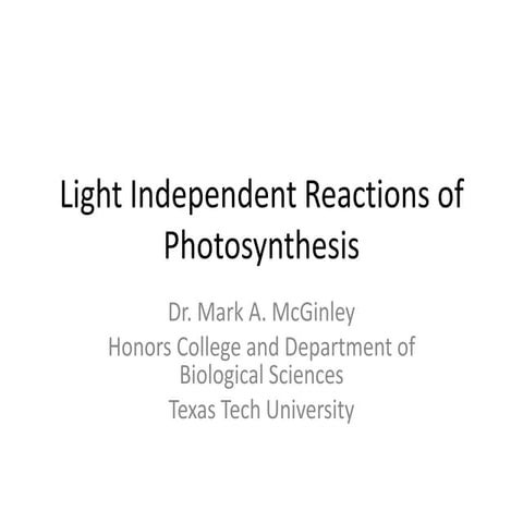 Light independent reactions of photosynthesis | PPTX