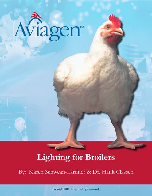 Ross308 broiler nutrition | PDF