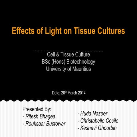 Light intensity | PDF