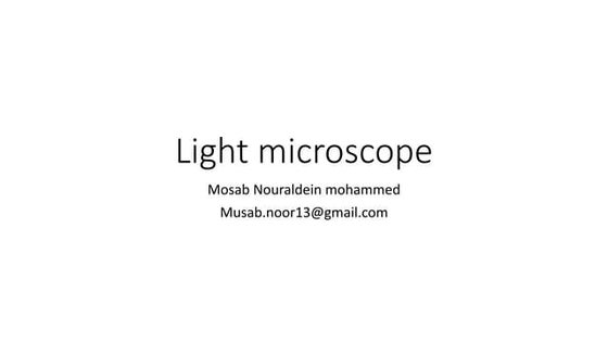 Light Slideshow | PPT