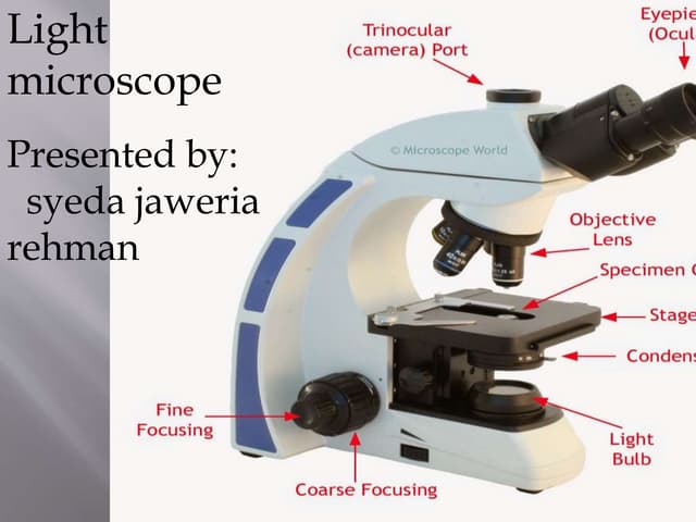 Light microscope | PPTX