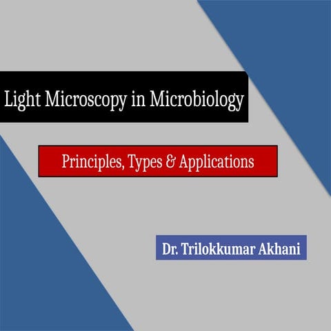 Light_Microscopy_Animated_Diagram_Rich.pptx
