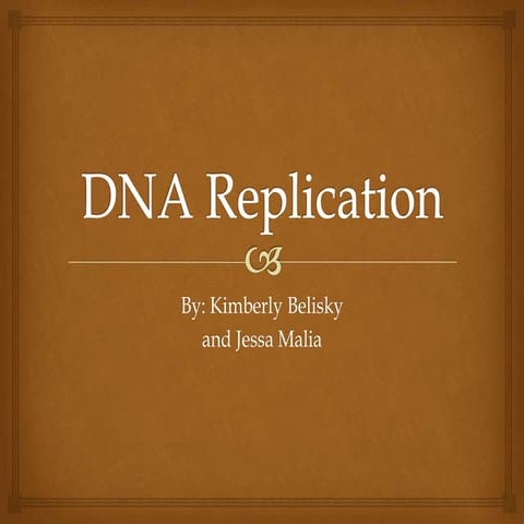 Lightning dog belisky | PPT