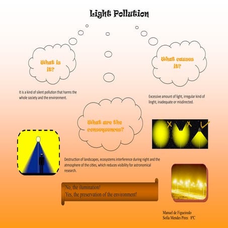 Light pollution | PDF