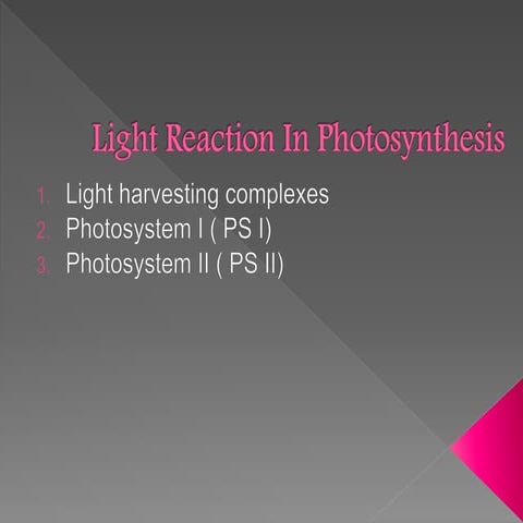 Light reaction in photosynthesis | PPTX