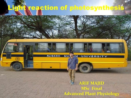 Light independent reactions of photosynthesis | PPTX | Chemistry | Science