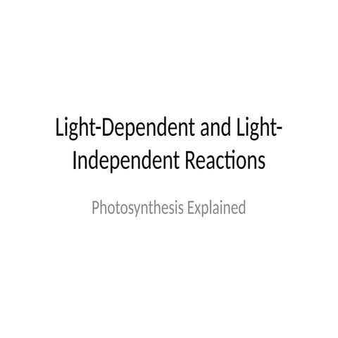 Light_Reactions_Presentation_biology.pptx