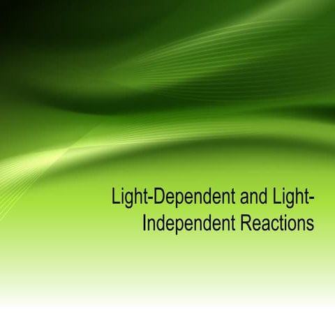 Light_Reactions_Presentationn bioology.pptx