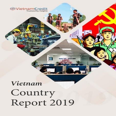 Vietnam Country Report 2019 | PDF