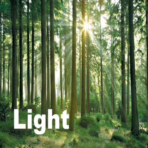 Light slides | PPT | Physics | Science