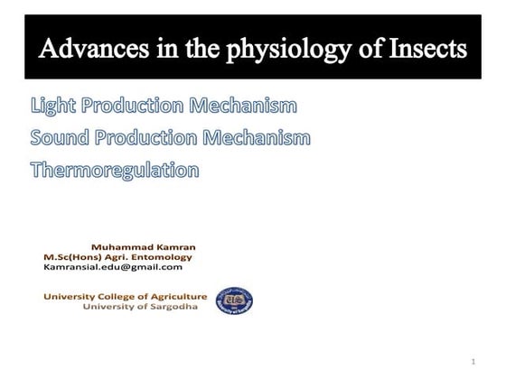 Phytophagous insect and their host finding mechanism | PPT