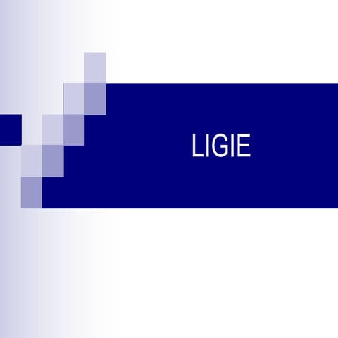 LIGIE.pdf