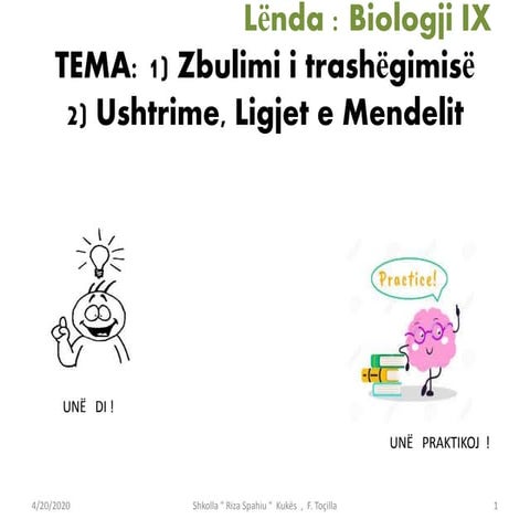 Ligjet e mendelit | PPTX