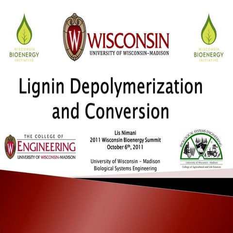 Lignin Depolymerization and Conversion | PDF