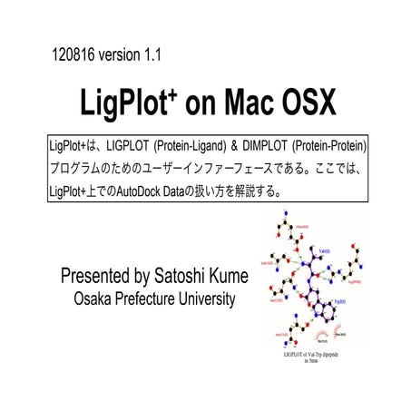 Ligplot+_japanese_ver.1.1 | PDF