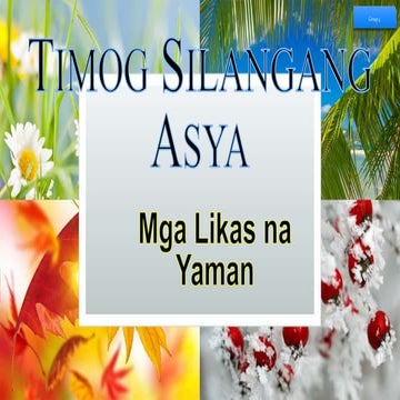 Likas na Yaman ng Timog Silangang Asya | PPTX