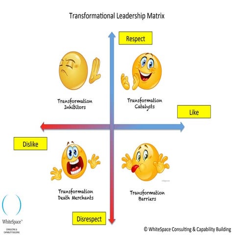 Transformational Leadership Matrix : Like-ability and Respect | PDF