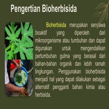 lili- pengertian, kelebihan dan kekurangan.pptx