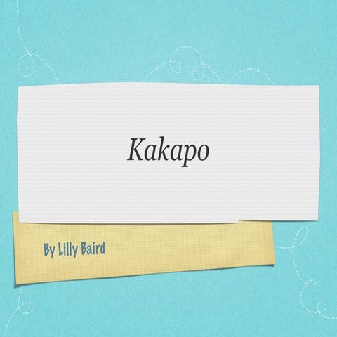 The NZ Kakapo researched by Lilli Baird | KEY