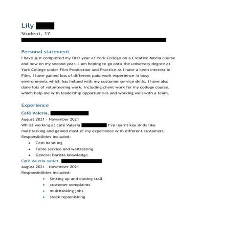 Lily Ajaib's cv.docx