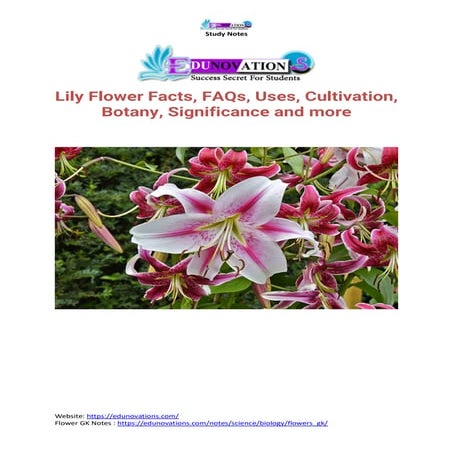 Complete Knowledge of Lily Flower.pdf | Gardening | Home & Garden
