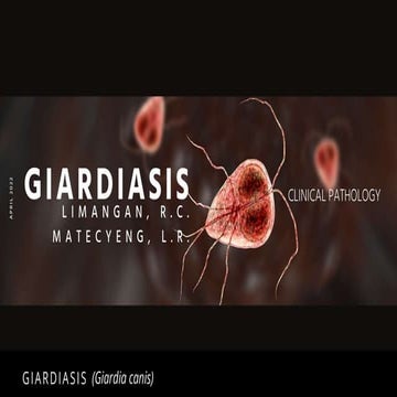 Limangan, R. & Matecyeng, L. - Canine Giardiasis (Case Report ...