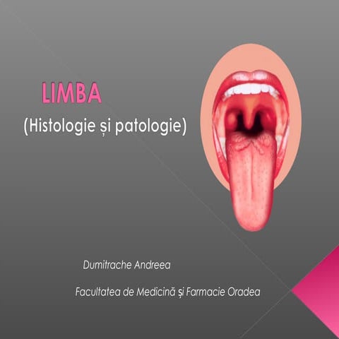 Limba | PPT