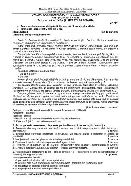 variante pentru examen | PDF