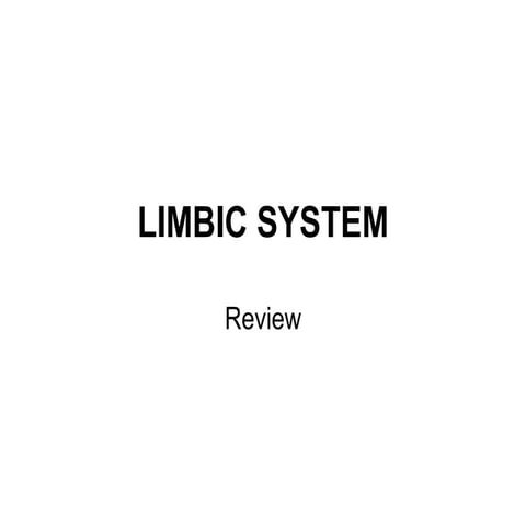 Limbic System Ppt