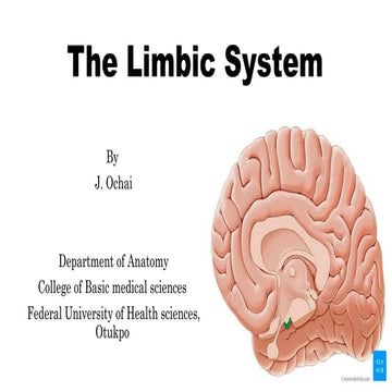 LIMBIC SYSTEM (Anatomy) ppt | PPTX