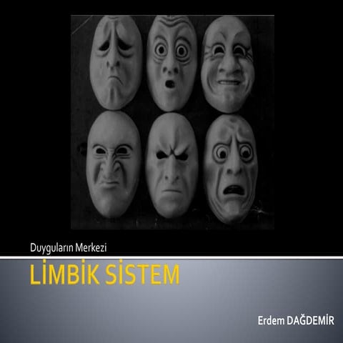 Limbik Sistem | PPTX