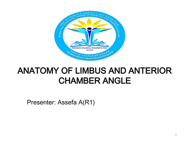 Limbus of the Eye: Anatomy, Functions, and Clinical Significance | PPTX