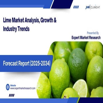 Lime Market Trends & Growth Analysis 2025 - 2034 | PDF